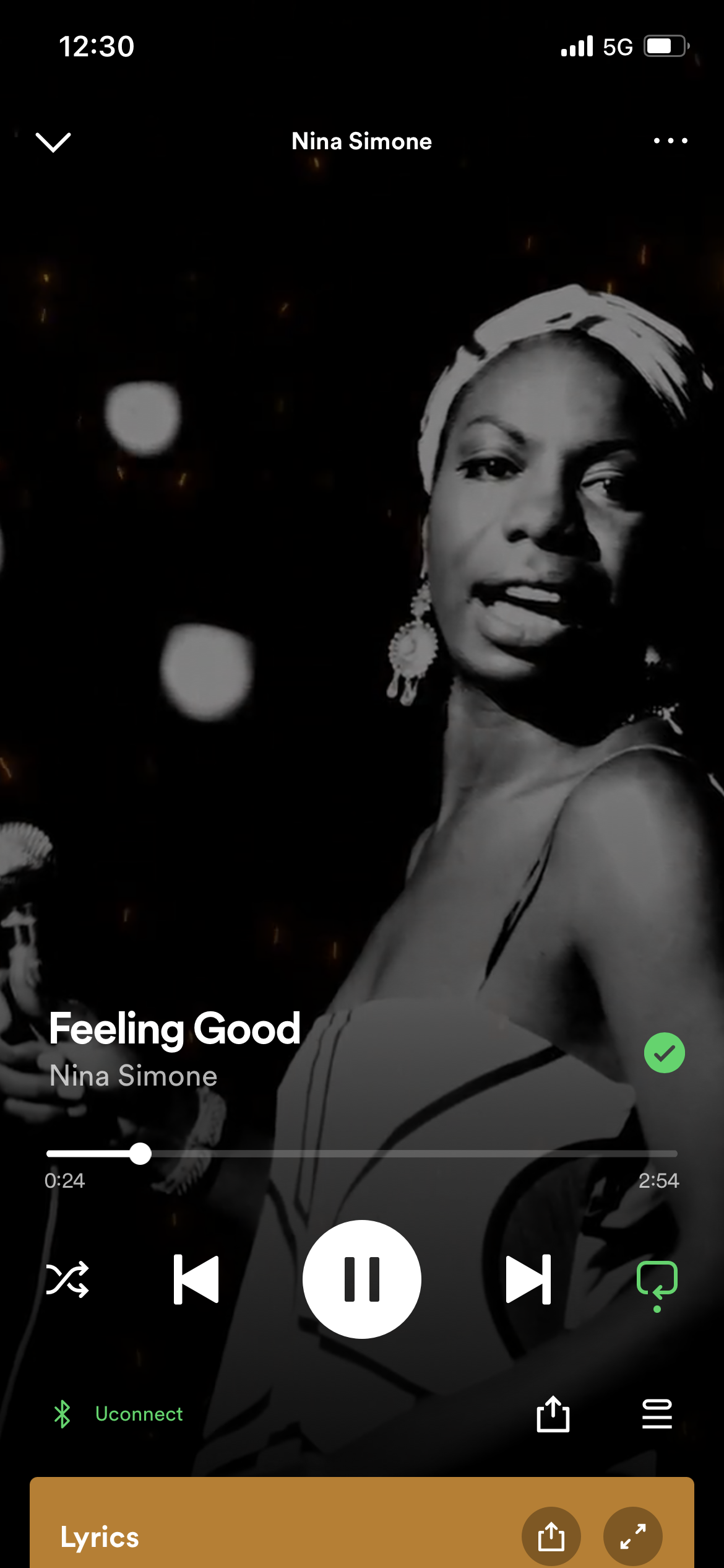 Richard Parker, Nina Simone, and some other third thing… – Every Day Bonnie